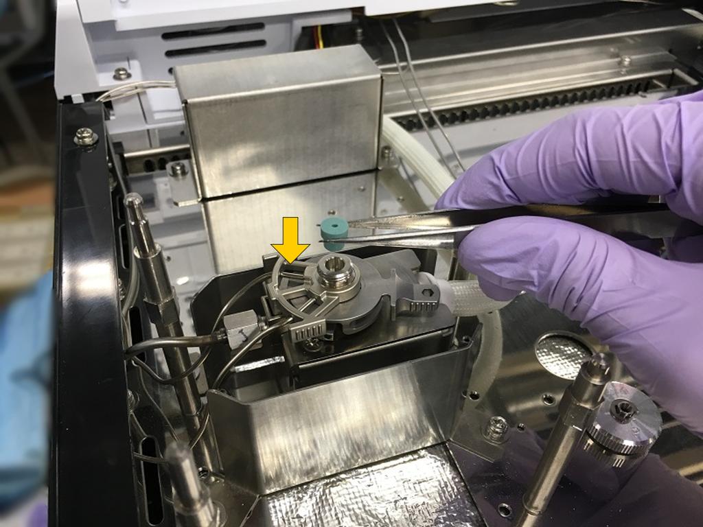 Replacement of Septum