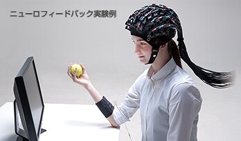 LABNIRS(ラボニルス) - アプリケーション : 分析計測機器（分析装置） 島津製作所