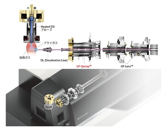 LCMS-8060 Sensitivity : 株式会社島津製作所